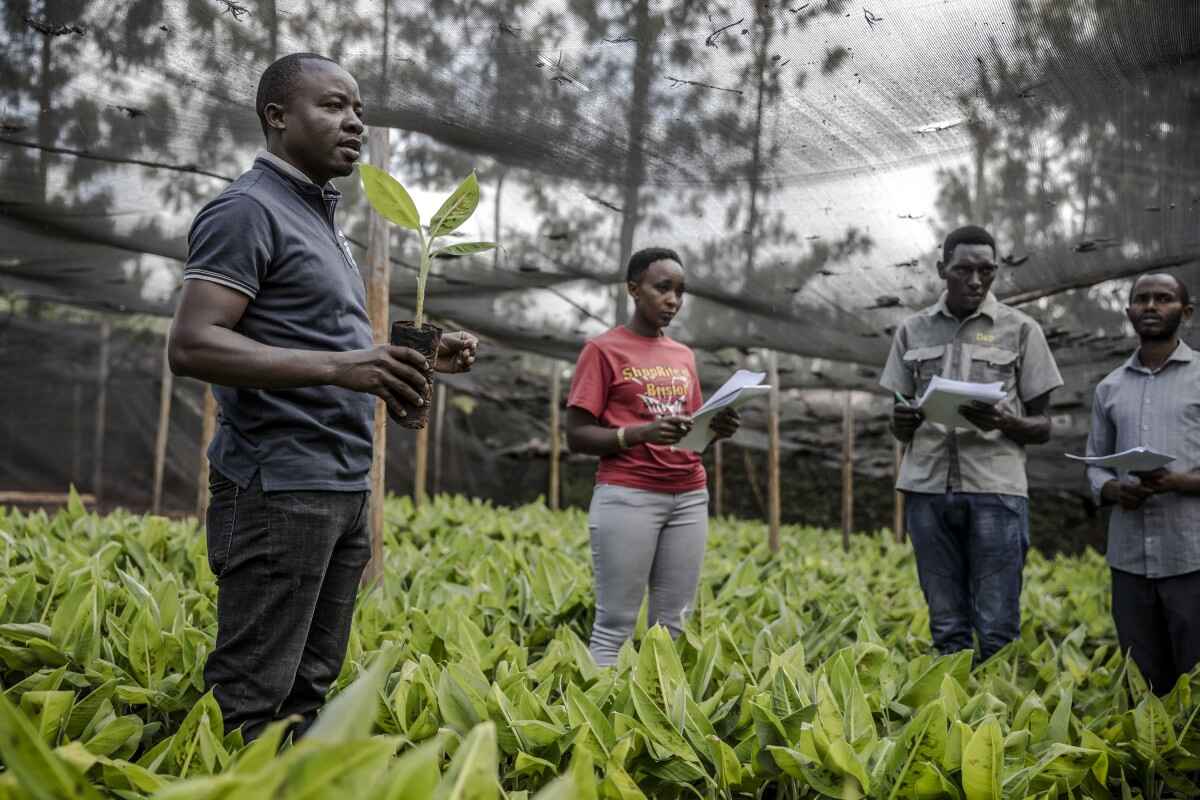 Agro Partners GH
